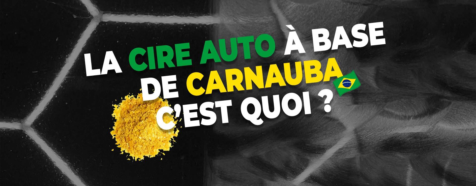 Les cires pour carrosserie à base de Carnauba : C’est quoi
